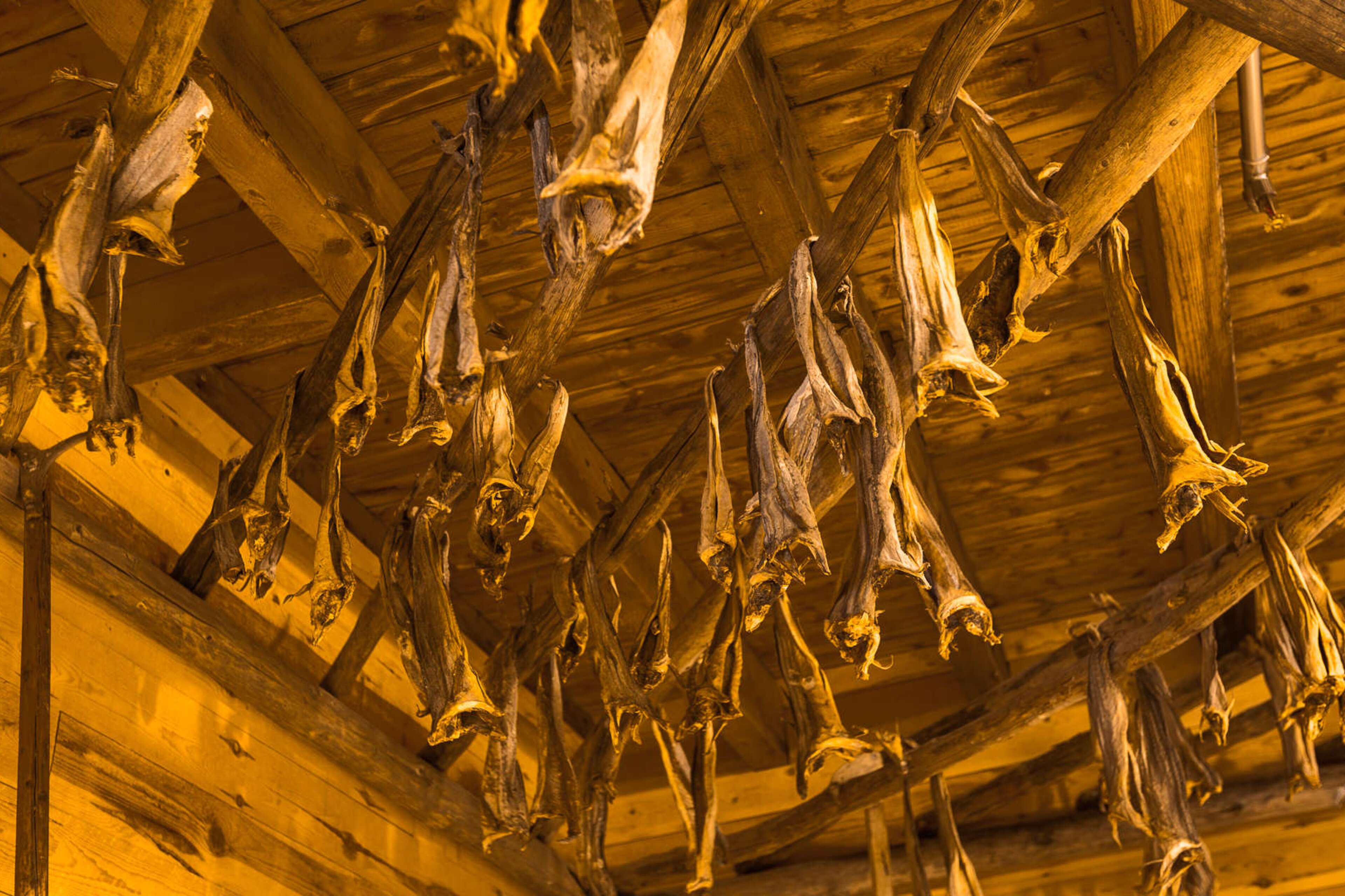 Gamvik Museum - Visit Nordkyn